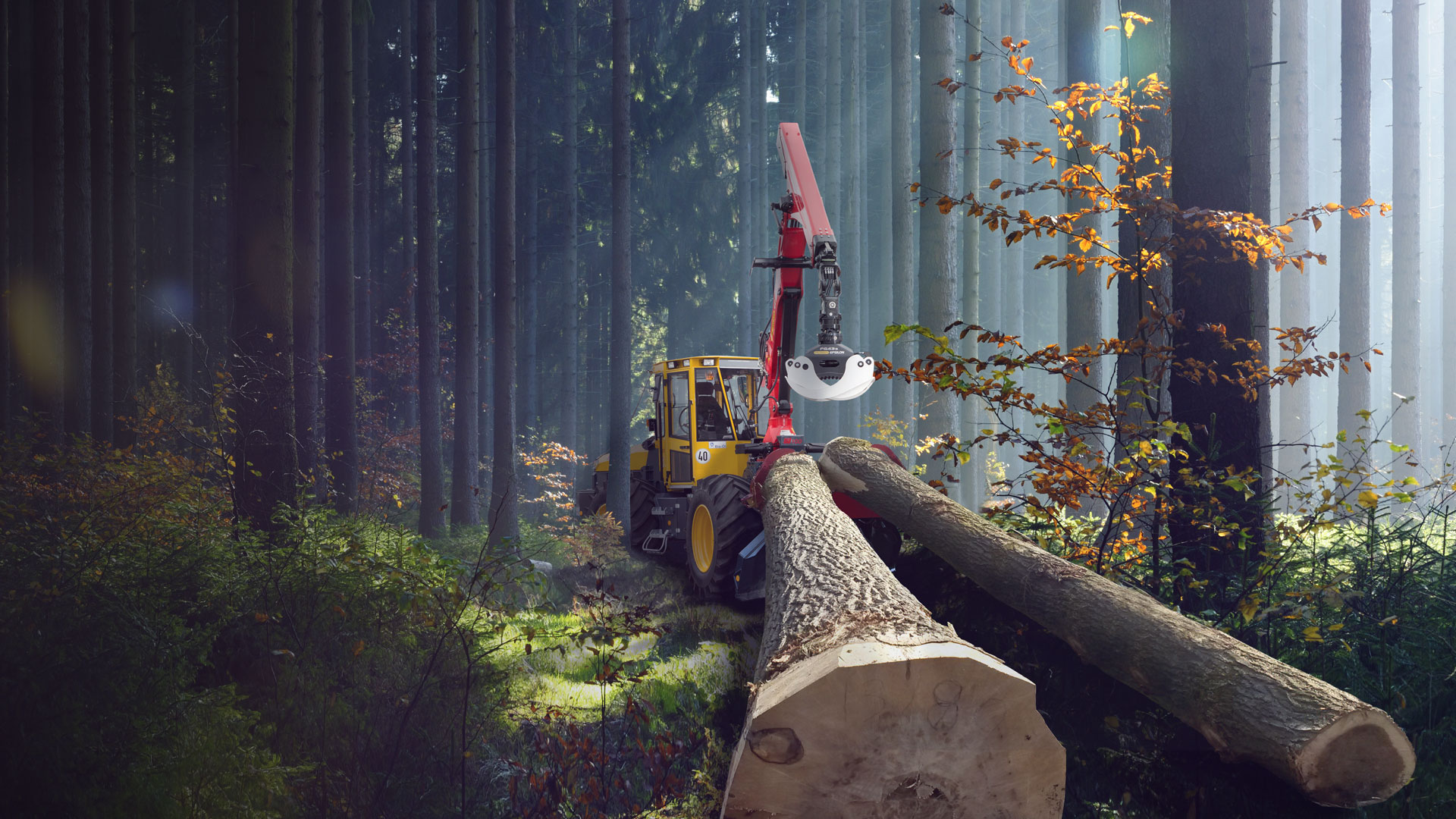 Detailansicht - Welte Forstmaschinen, Kombimaschinen, Kommunalmaschinen ...